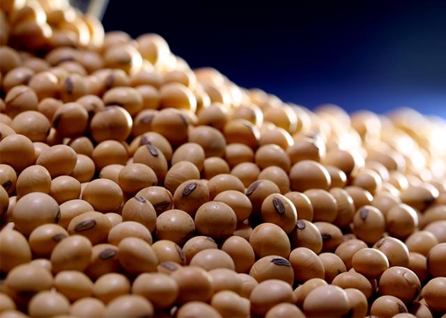 Câmara da Soja defende renovação de convênio do ICMS para insumos ...