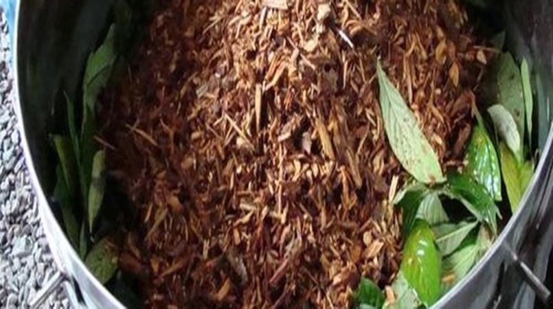 Câmara: Projeto regula uso da ayahuasca e reconhece Santo Daime como ...