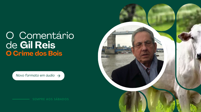 O Crime dos Bois | AGROemDIA